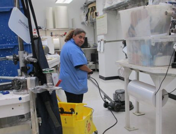 UTHSCSA Facilities Management - HSC Celebrates "Housekeeping Week" on ...